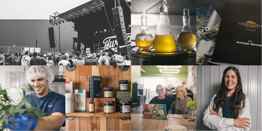 11 Innovative Marijuana Businesses | Marijuana SEO™