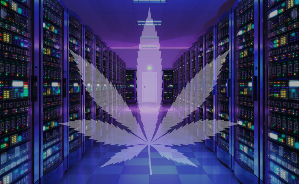 7 Best Web Hosting for Marijuana Companies | Marijuana SEO™